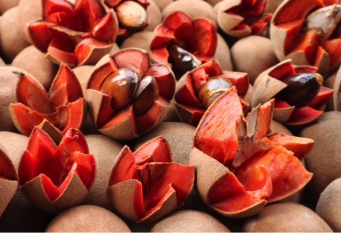Beneficios, nutrientes y propiedades del zapote - Tabernaculo Prensa de ...