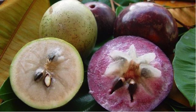 5 beneficios del caimito - Tabernaculo Prensa de Dios